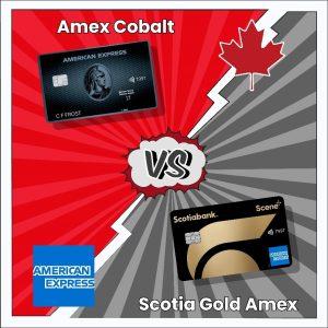 Amex Cobalt vs. Scotia Gold Amex: Which Card is the Best?